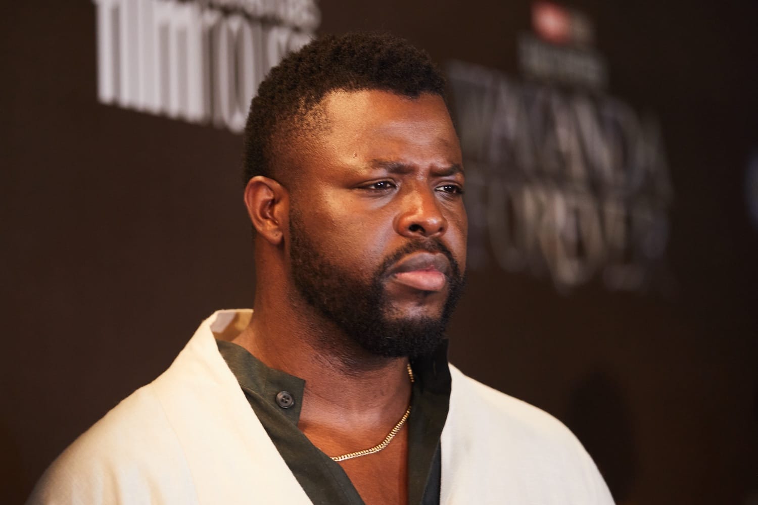 Here's Your Highlight Of “Black Panther: Wakanda Forever” African ...